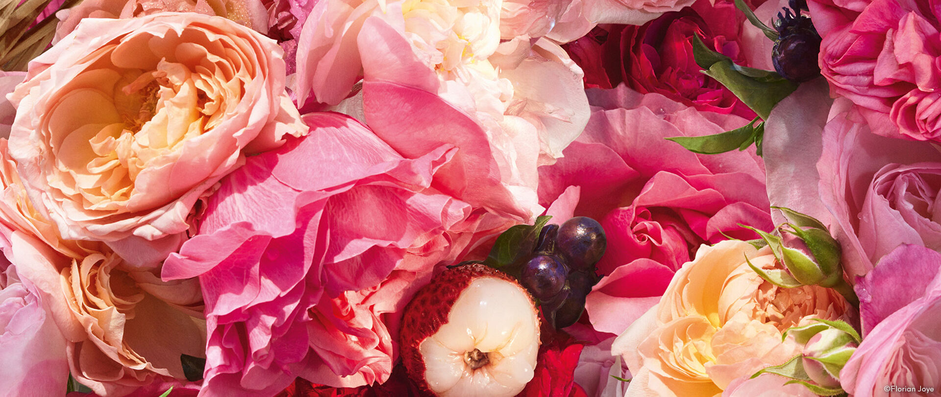 La Maison Guerlain · Métier d'Art of Fragrance · GUERLAIN ⋅ GUERLAIN